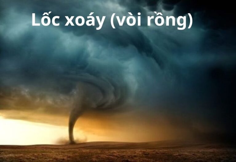Nguyên Nhân Gây Ra Lốc Xoáy Là Gì? Cách Phòng Tránh Thiệt Hại Lốc Xoáy